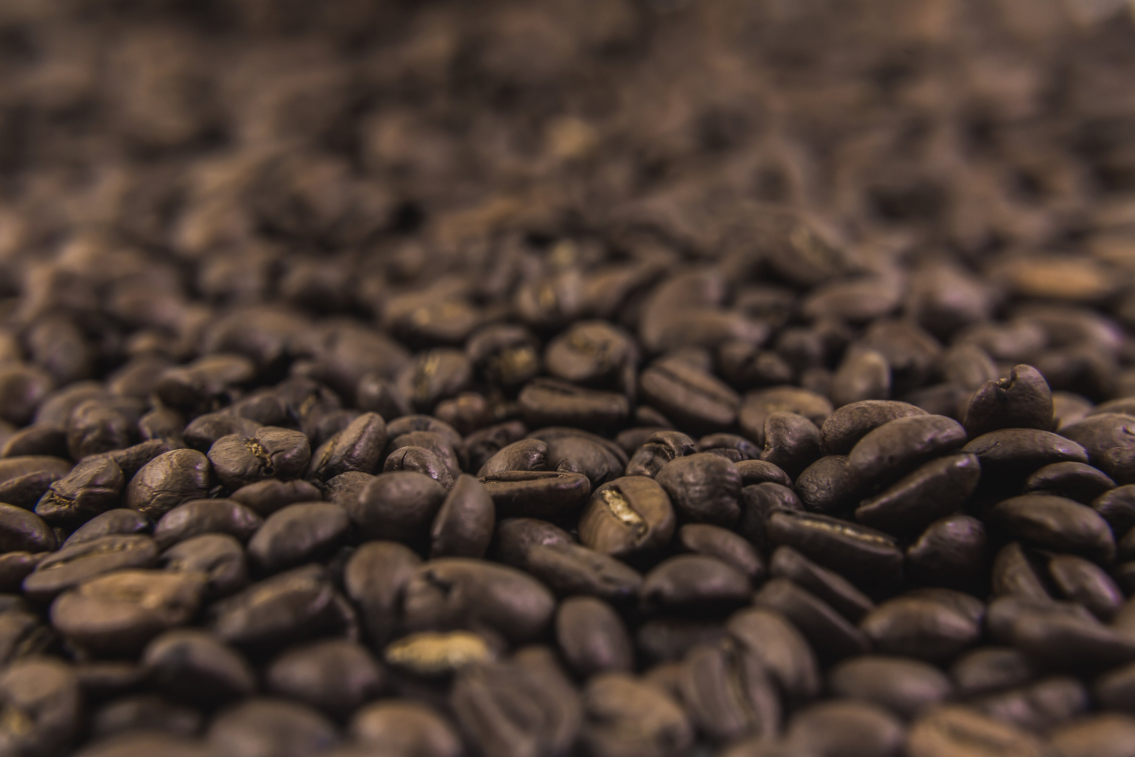 About - Gimme Coffee – Gimme! Coffee