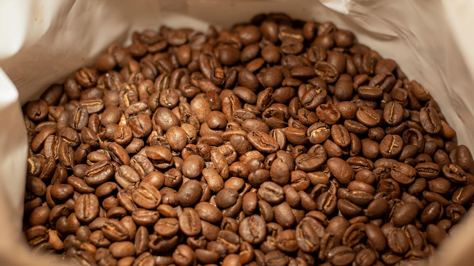 Shop Gimme Coffee – Gimme! Coffee